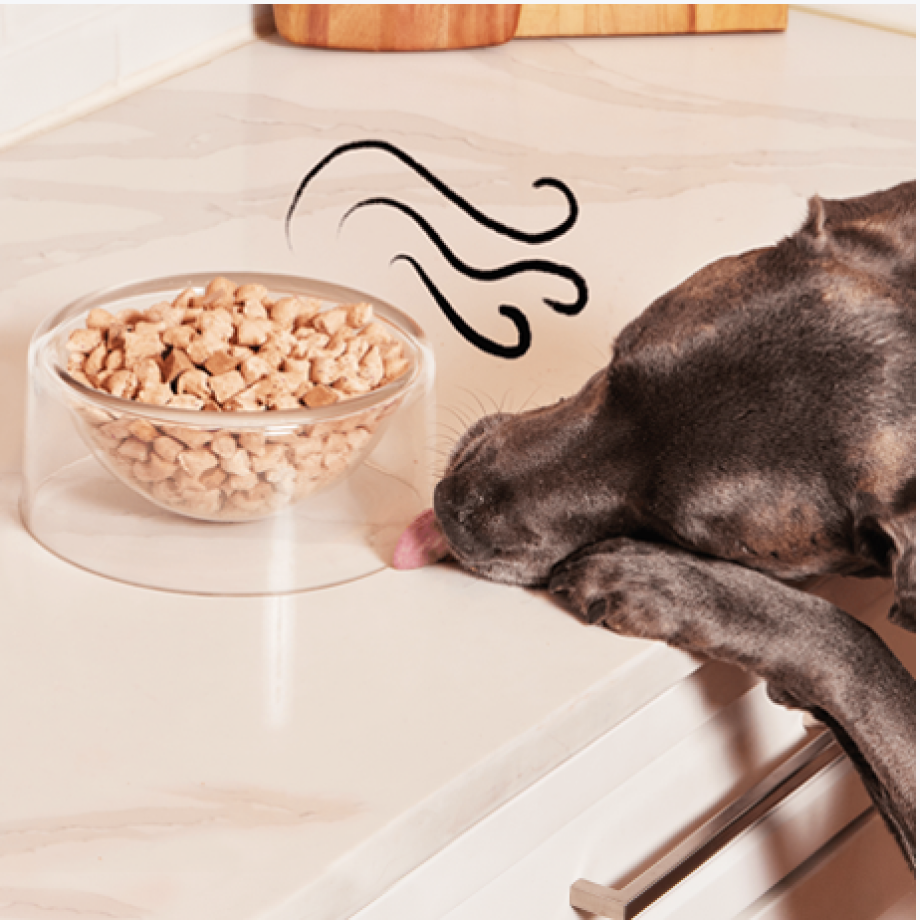 UnKibble | Beef & Barley